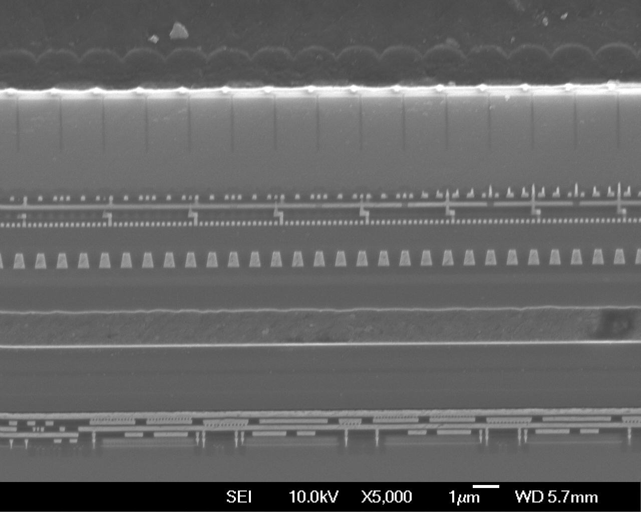 Sample preparation - Serma Microtech